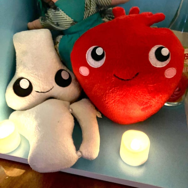 Internal Organs, Human Organs, Organs, Liver, Kidneys, Gallbladder ...