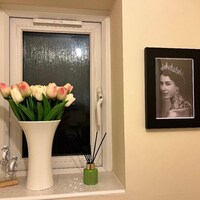 Punk Queen Queen Elizabeth Home Decor Wall Art Print Limited Edition ...