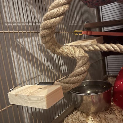 2 in 1 Perch Natural Wood Perch and Swinging Pine Dowel Perch With ...