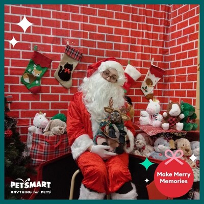 4pcs/set Cute Puppy Dog Socks Cartoon Anti Slip Knit Socks Warm Puppy ...