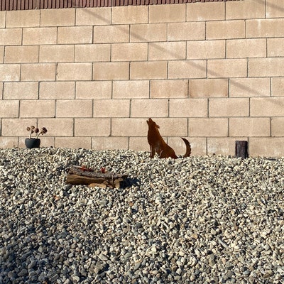 Iron Coyote on Moon Base Metal Art Rusted Southwest Sonoran Desert ...