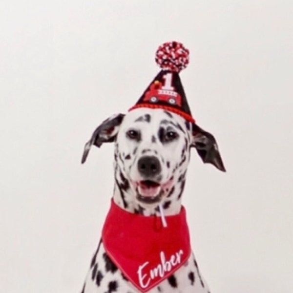 Boy Firetruck Birthday Party Hat - Boy 1st Birthday Fire Truck Hat ...