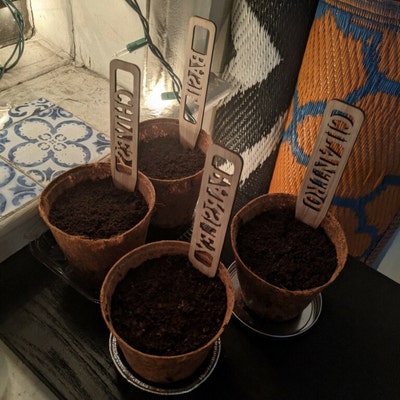 Herb Seeds Set of 4 parsley Chervil Lemon Balm & Chives - Etsy