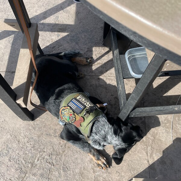 Care Bear Face Mask, Care Bear Rainbow Mask, Kids, Reversible, Reusable ...