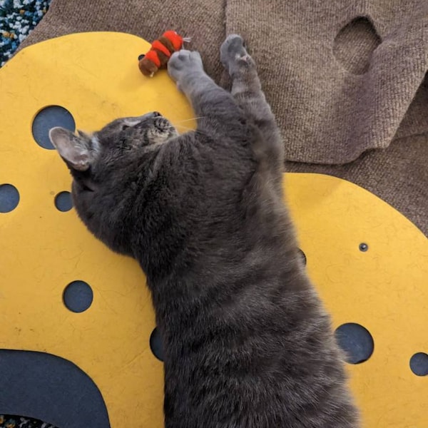 Catcorn, Pom Pom Cat Toy Popcorn (10 Toy Set) - Etsy