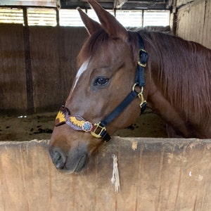Boss Mare Sticker Vinyl Decal Horse Sticker Horse Decal | Etsy
