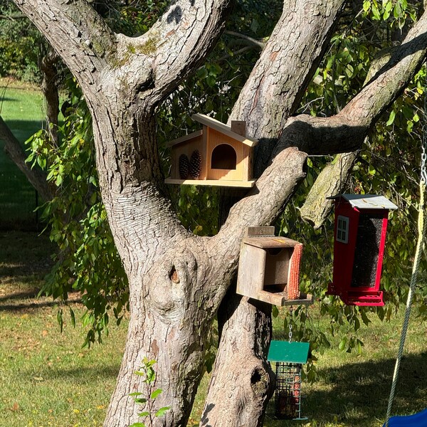Squirrel House/nesting Box - Etsy