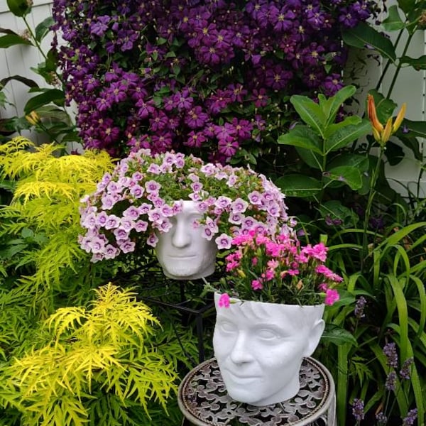 Nathan Fielder Head Planter – Custom Celebrity Face Pot, Quirky ...