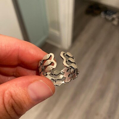 Swimming Against the Current. Sterling Adjustable Ring. School of Fish ...