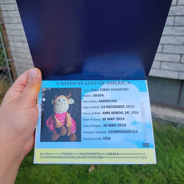 American Teddy Bear Passport - Personalised Passport for American ...