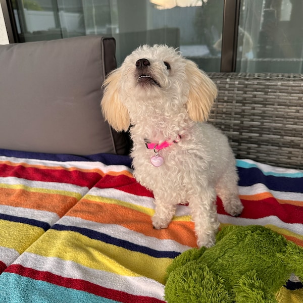 Chubby Heart-shaped Bell, for Bell Charm Adds Keychain, More Ideas ...