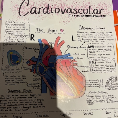 Medication Poster Set - Etsy UK