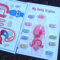 Buy Human Anatomy Busy Book PRINTABLE Human Body Worksheets | Preschool ...