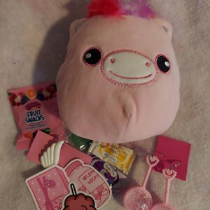 Mystery Plushie Surprise Stuffy Stuffie Stuffed Animal - Etsy