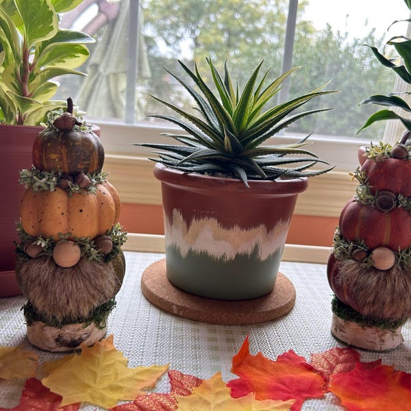 2024 Color Trend Faux Succulent Gnome - Etsy