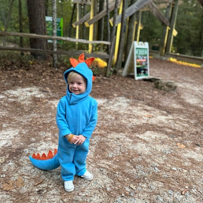 Circus Bunting Fabric Party Flags Size Small Bunting Banner - Etsy