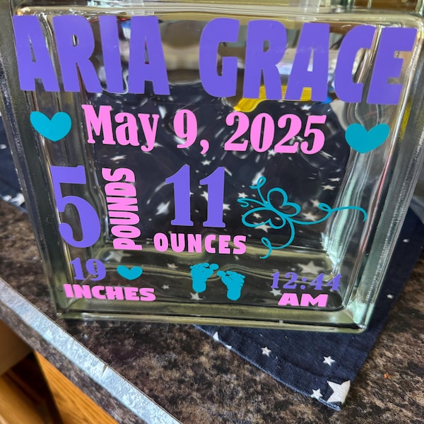 Baby Girl Glass Block Bank With Butterfly, Baby Girl Shower Gift, Baby ...