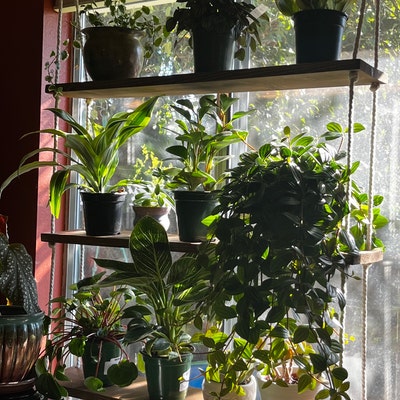 Window Plant Shelf Hanging Window Shelf 3 Tiered Window Floating ...
