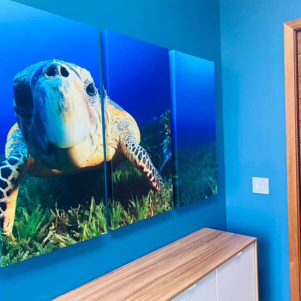 Turtle Decor Sea Turtle Animals Decor Atlantic Ocean Life Sealife Print ...