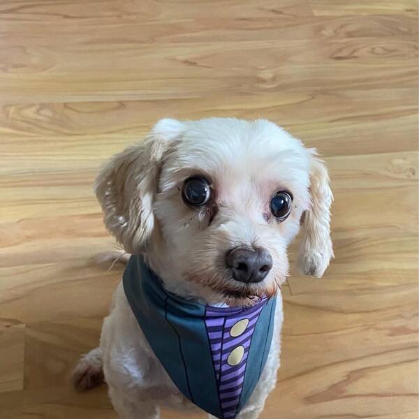 Custom Sci Fi Phone Case, Sci-fi Uniform, Captain, Star, Boldly Go ...