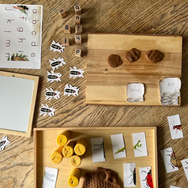 Safari Activity Unit, Safari Montessori Unit, African Animal Flashcards ...