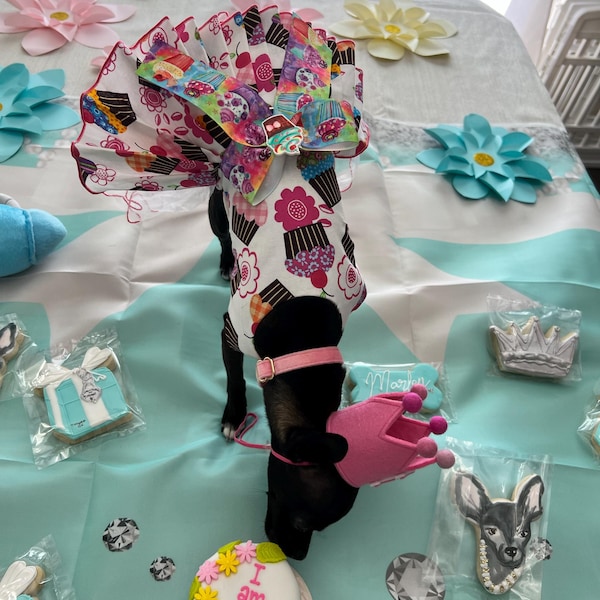 Dog Show Training Stack Box Toy Adult Size Stack Training 20" X 12 ...