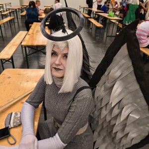 Husk Wings, Black, Red Angel Wings Costume, Hazbin Hotel, Cosplay - Etsy