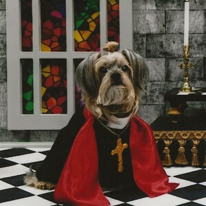 Dog Cleopatra Halloween Costume, Cleopatra Dog Costume, Puppy Cleopatra ...