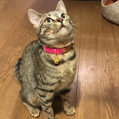 Original Cat Collar Bell, Original Jingle Bell, Cat Collar Charm, Pet ...