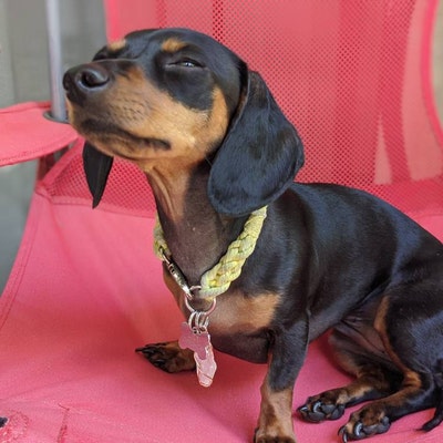 Raw Natural Crystal Key Chains/pet Collar Charms You Choose - Etsy