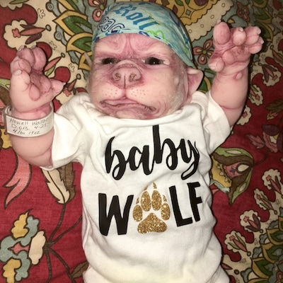 Baby Wolf Onesie Wolf Pack, Mama Wolf, Pregnancy Gender Reveal, Coming ...