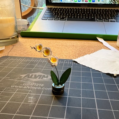 Dollhouse Miniatures Plants Printable 1:12 Scale. 13 Different, Paper ...