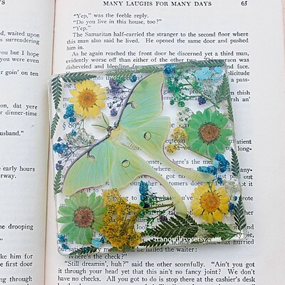 Medium Luna Moth Paper Cutouts, Realistic Paper Moths, 5 Pieces - Etsy