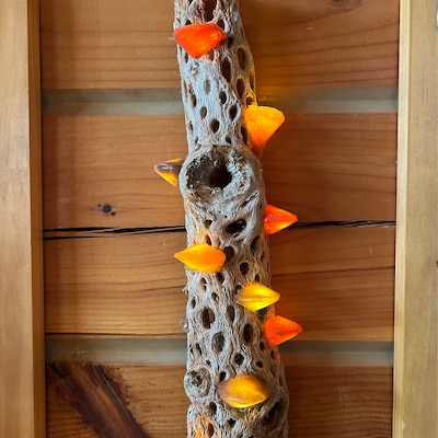 Handmade Copper Wall Hanging Cholla LED Mushroom Lamp 13-15 Tall - Etsy
