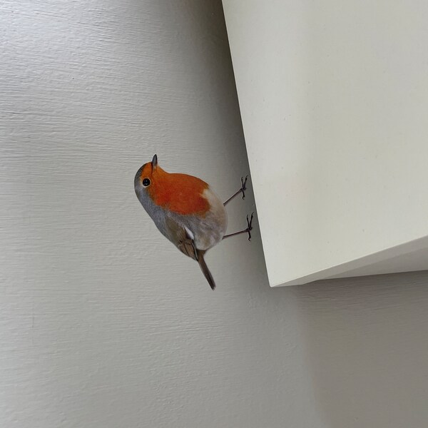 Country Range Robin Wall Decal Sticker Porch Hallway Entrance Bird ...