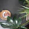 Miniature Round Plaster Frame in 6 Metallic Colours - Etsy