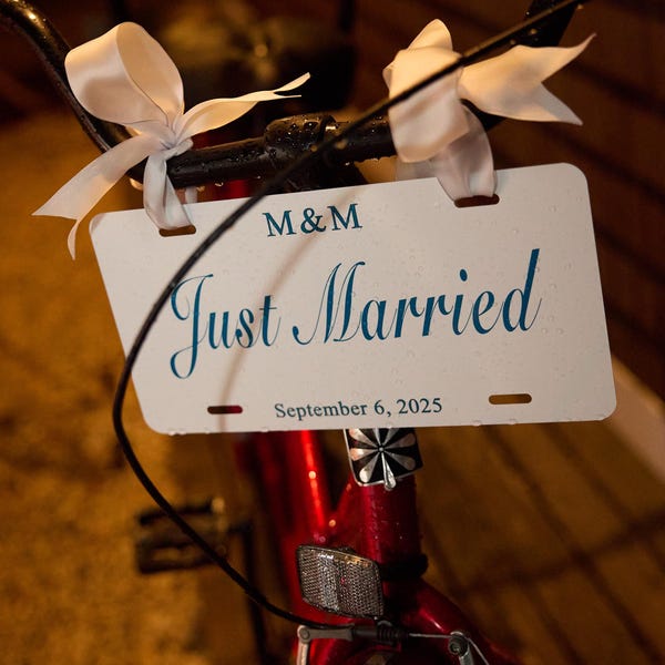 Just Married Personalized Wedding Theme Bike Plates and License Plates ...
