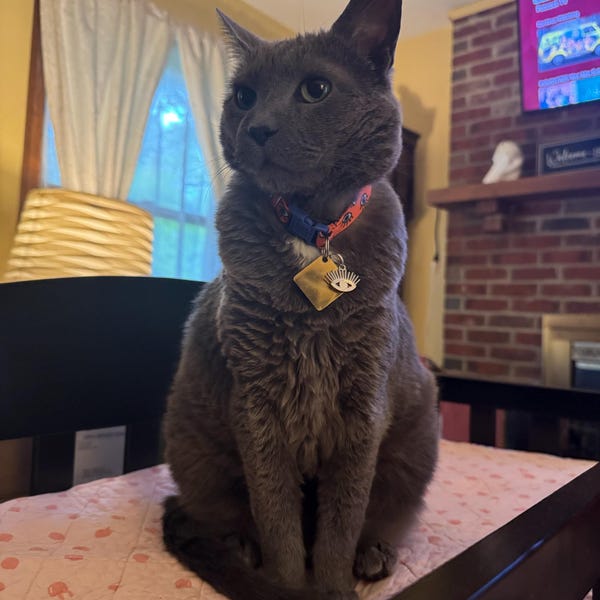 Retro Checkered Cat Collar With Bell, Colorful Male Cat Breakaway ...