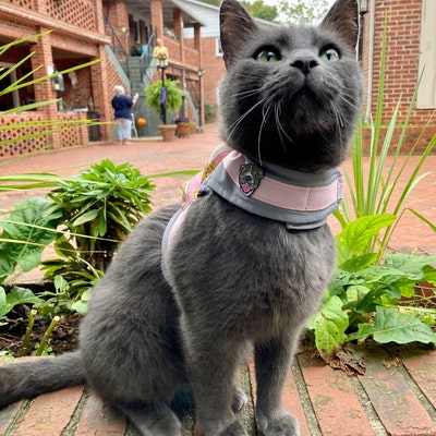 Pitbull Enamel Pin Pit Bull Lovers Dog Gift Pitbull Gift Dog Lovers ...