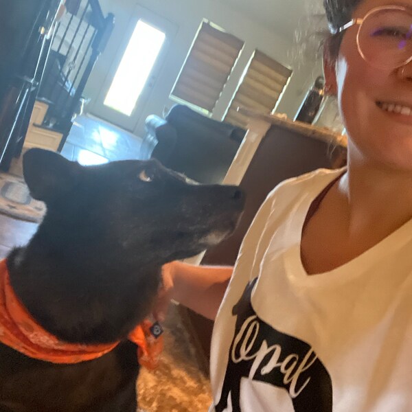 Dutch Shepherd Dog T-shirt - Etsy