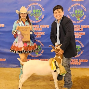 20 Buckle Rustic Western Buckle Display With Cowhide Backing and No ...