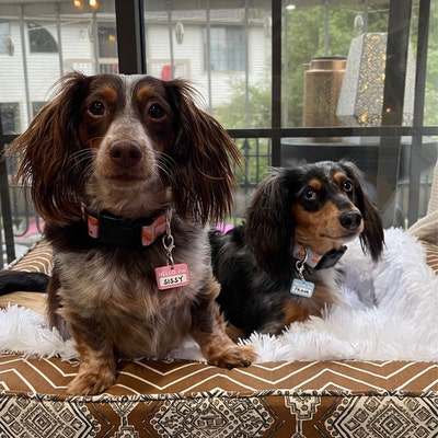 Custom Pet Tag for Dogs and Cats Personalized Weiner Hot Dog Tag Pet ID ...