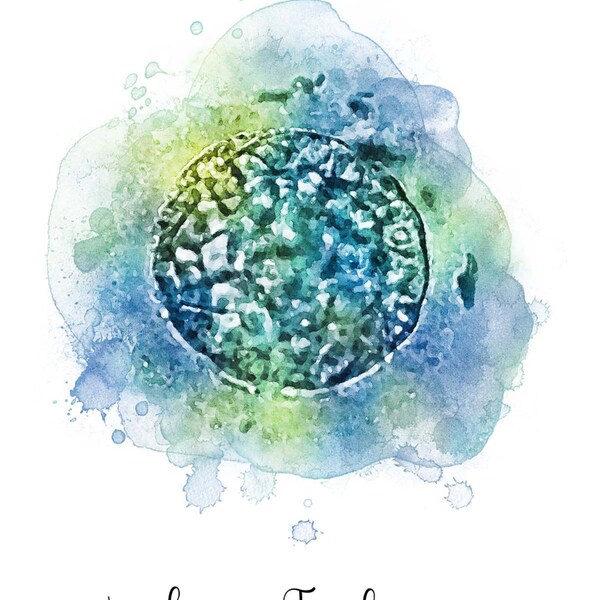 Custom IVF Art Embryo Watercolor Personalized Pregnancy Gift Nursery ...