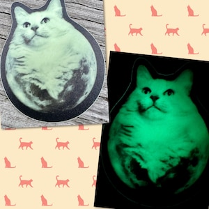 Abbey Road Cat Art Print the Beatles Wall Art Cat Lover - Etsy