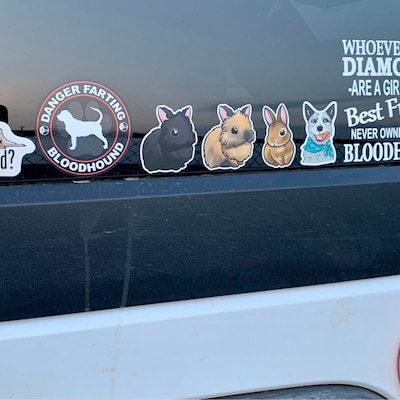 Black Tort Lionhead Rabbit Sticker Cute Lionhead Bunny Sticker ...