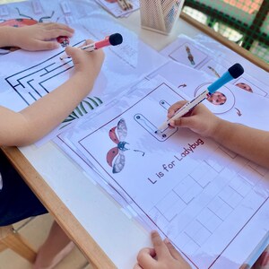 RED FOX Unit Study, Life Cycle, Anatomy, Nature Study, Science ...