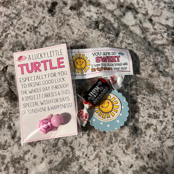 A Lucky Little TURTLE- Pink- Tiny Turtle Good Luck, Lucky Charm -sweet ...