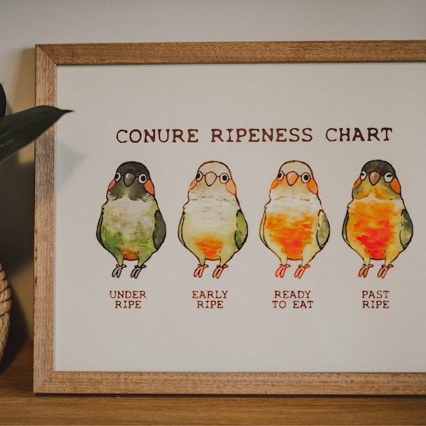 Conure Ripeness Chart Poster - Etsy