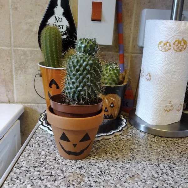 Zebra Print Indoor Plant Pot - Etsy