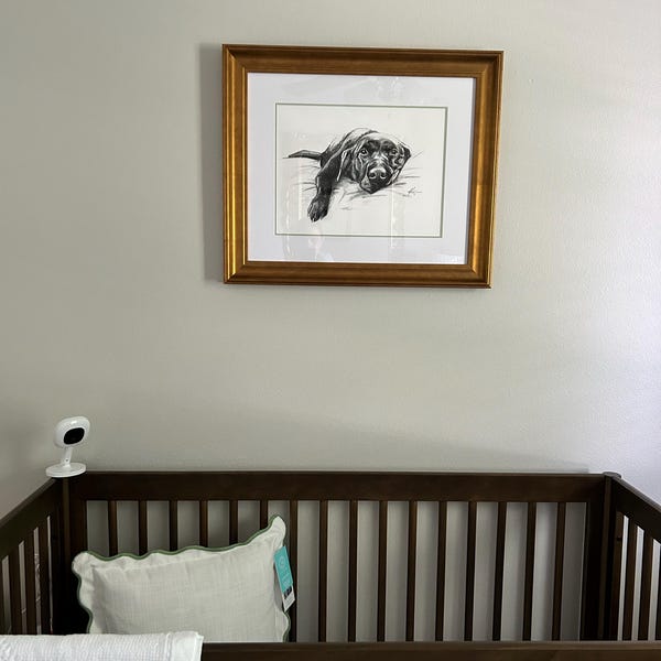 Labrador Retriever Art Print, Black Lab Chocolate Lab Drawing, Sleeping ...